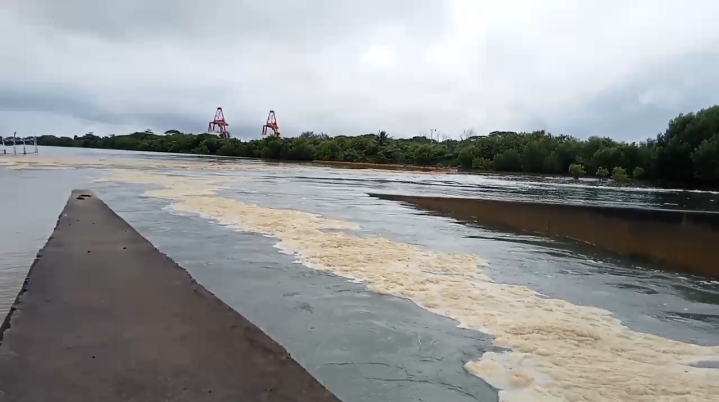 Bengkel Bahari Temukan Indikasi Pencemaran Lingkungan, Diduga Dilakukan ...